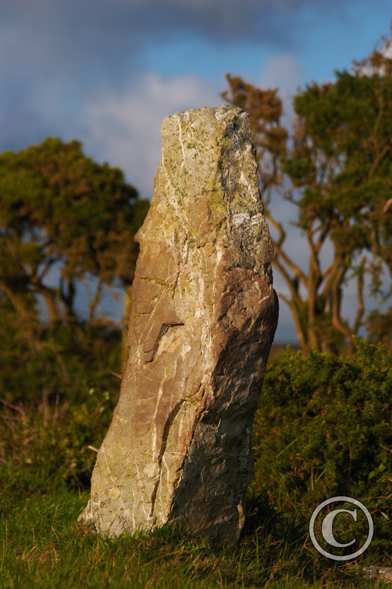 Nine Maidens Megalith, Eighth Of Nine | Ancient Places | Photography By ...