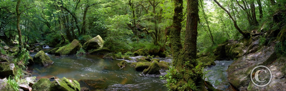 Golitha Falls Panorama | Golitha Falls | Cornwall | Photography By ...