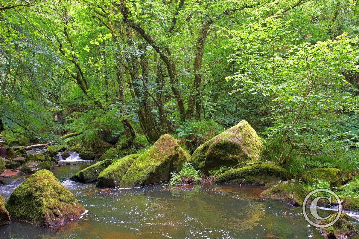Golitha Falls Lower Reaches | Golitha Falls | Cornwall | Photography By ...