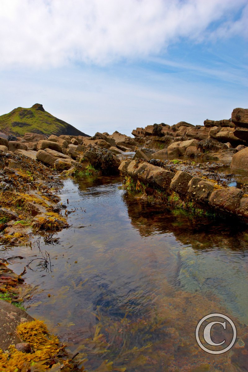Millook Haven Rockpool | Millook Haven | Cornwall | Photography By ...