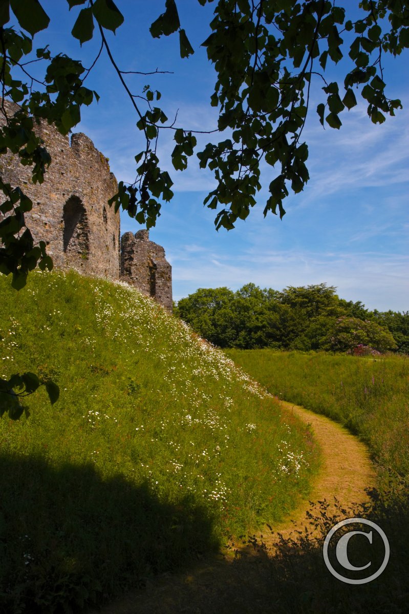 Restormel Castle Moat | History And Heritage | Photography By Martin ...
