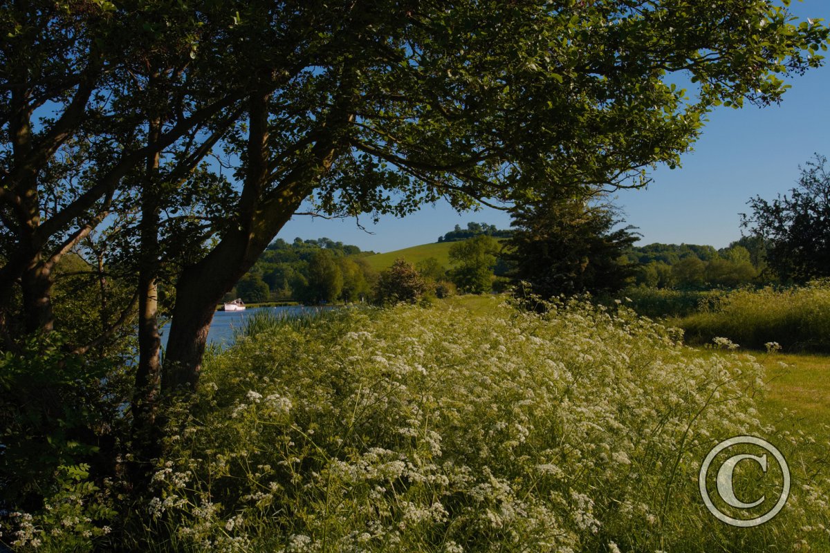 River Thames and Wittenham Clumps | Wittenham Clumps | Thames Valley ...